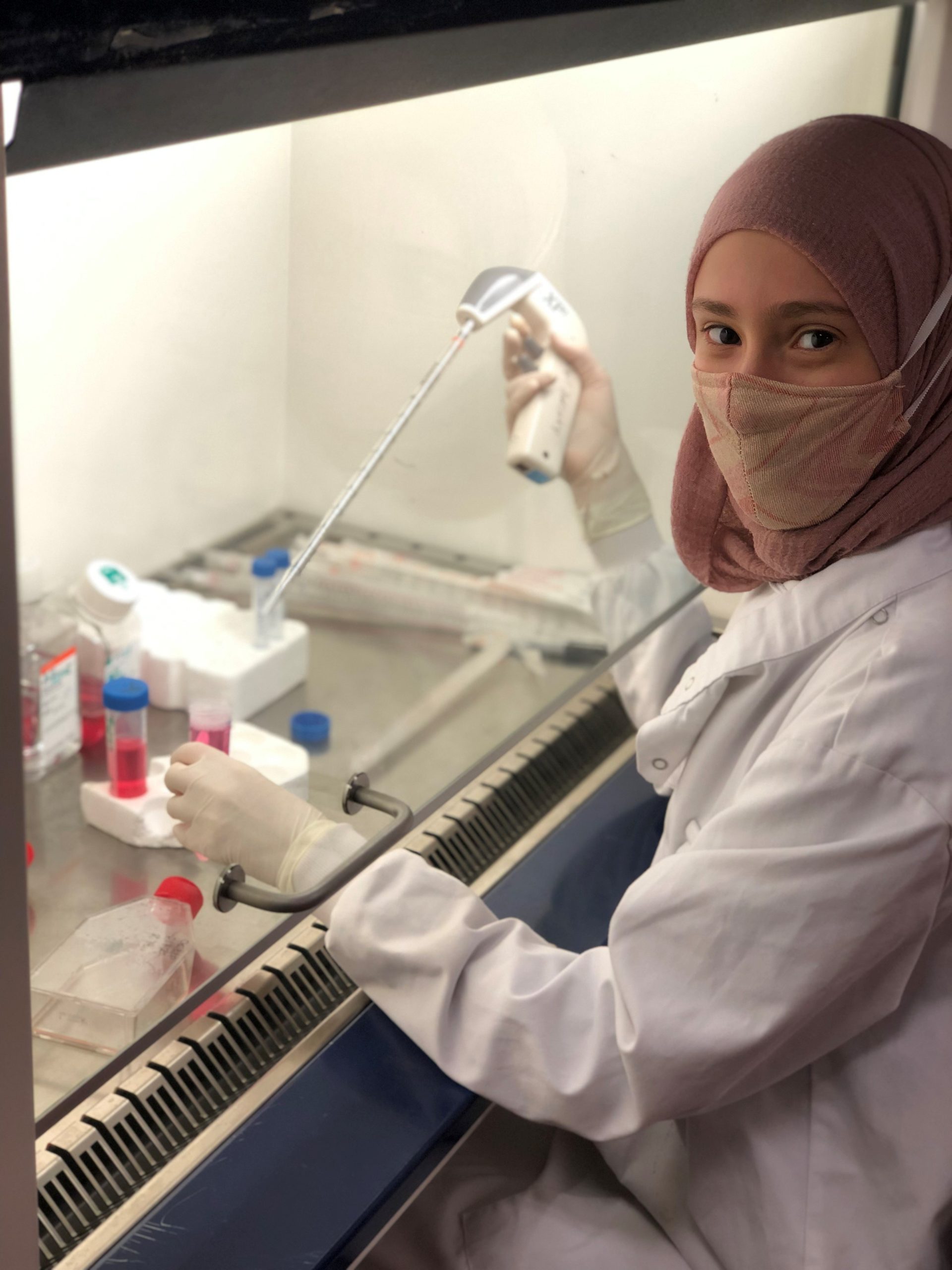 Towards improved immunotherapy: Investigating the effects of Pyrazinib (P3) in promoting ...