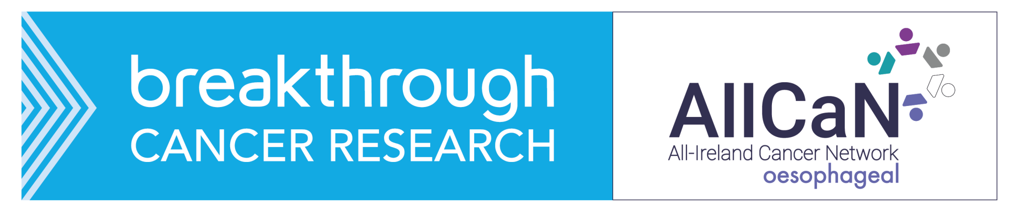 First All-Ireland Cancer Network (AllCaN) launched on World Cancer Day - Breakthrough Cancer ...