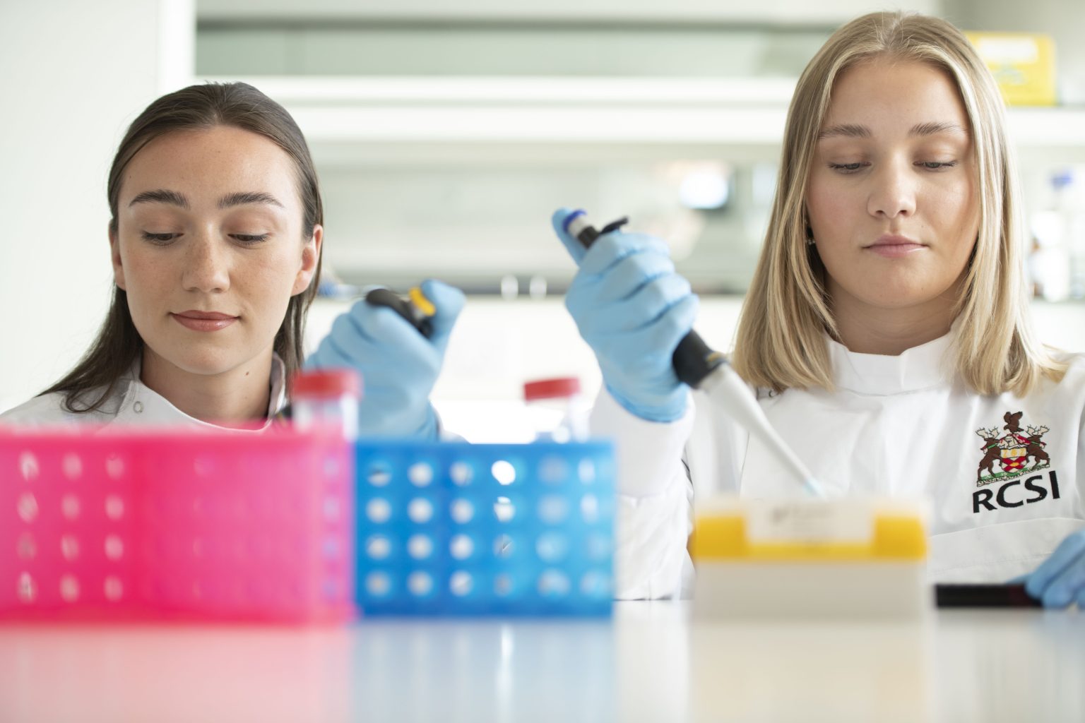 Developing a non-rodent xenograft model of Multiple Myeloma and its use ...