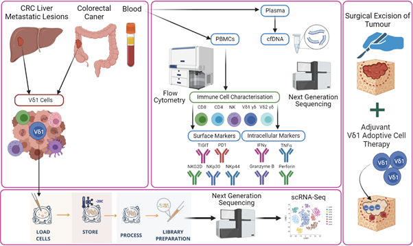 Investigating Minimal Residual Disease Post-Operatively in Patients ...
